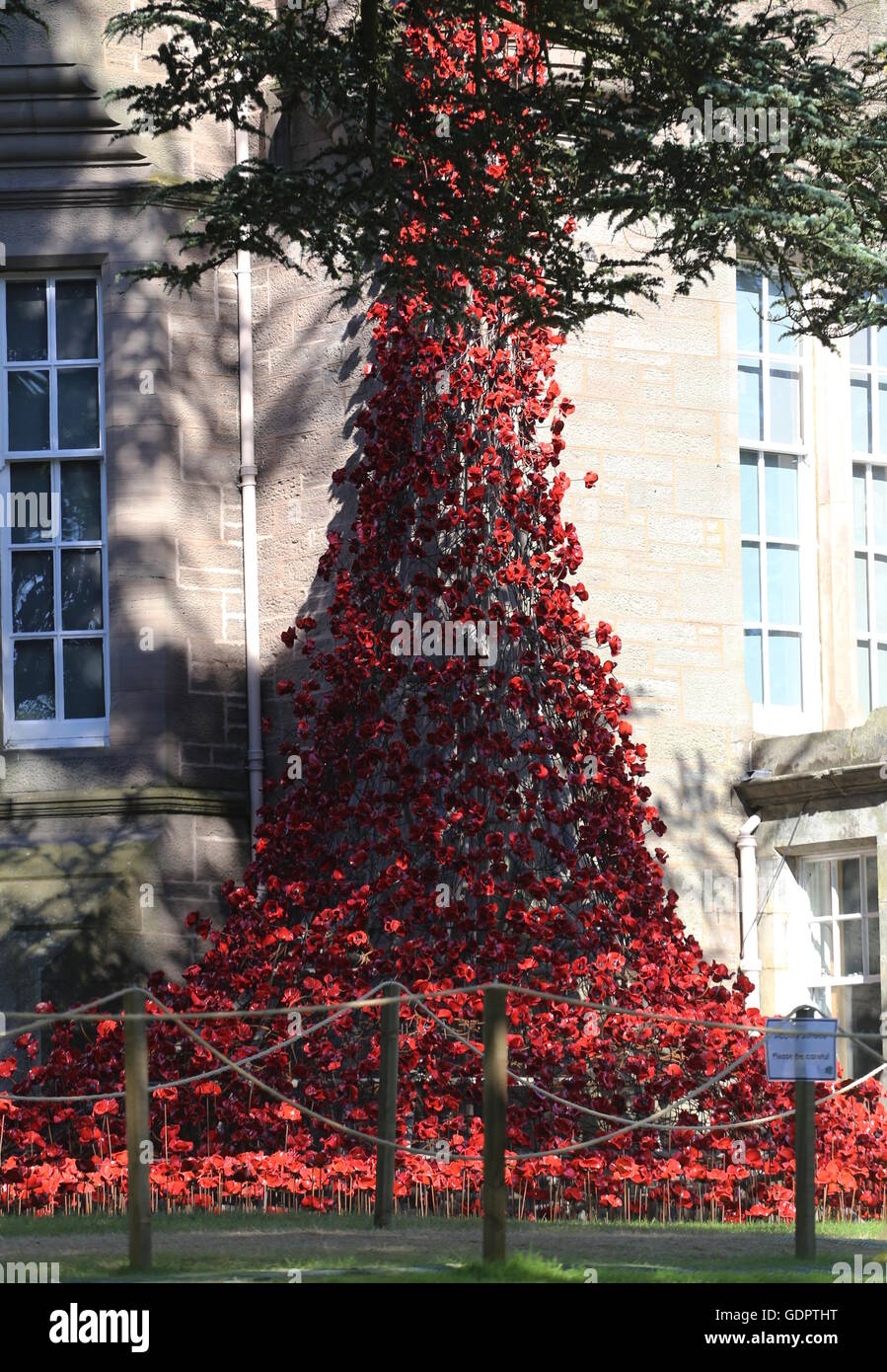 Poppies Weeping Window by Paul Cummins, Artist, and Tom Piper, Designer ...