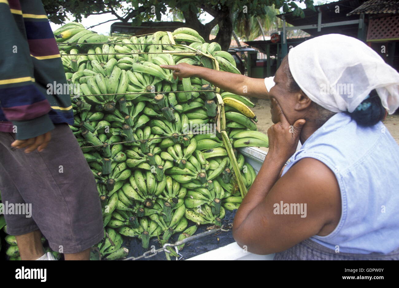 Bananas at the Market at the Village of Las Terrenas on Samanaon in The ...
