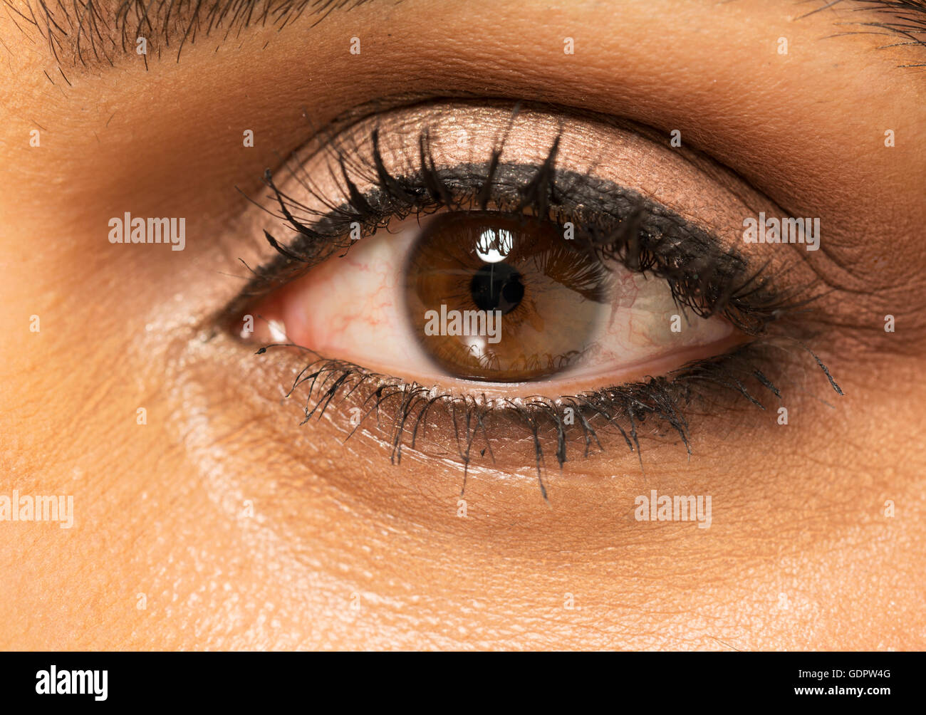 Brown eye hi-res stock photography and images - Alamy