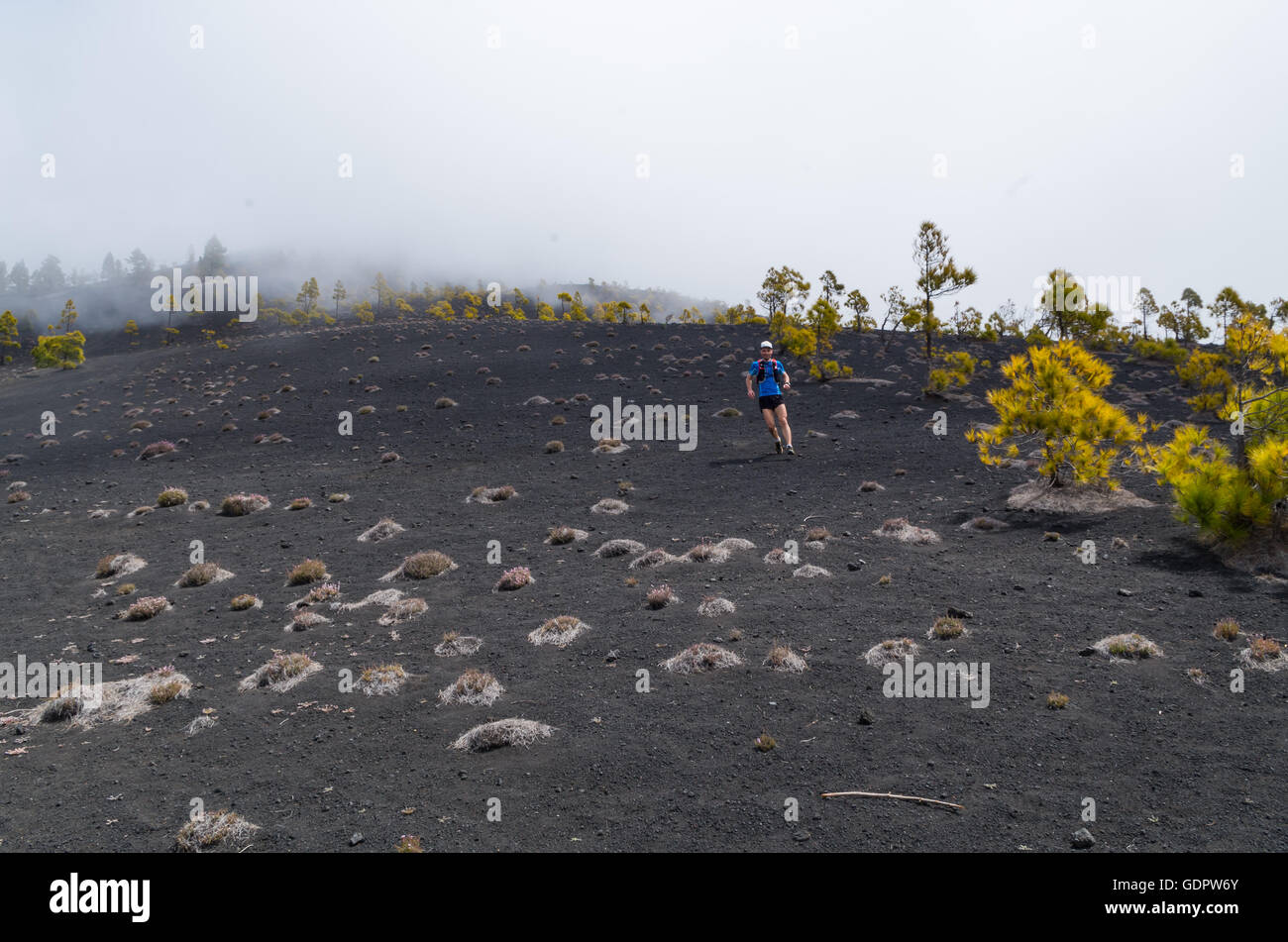 Young man running in volcanic landscape with foggy background, La Palma ...