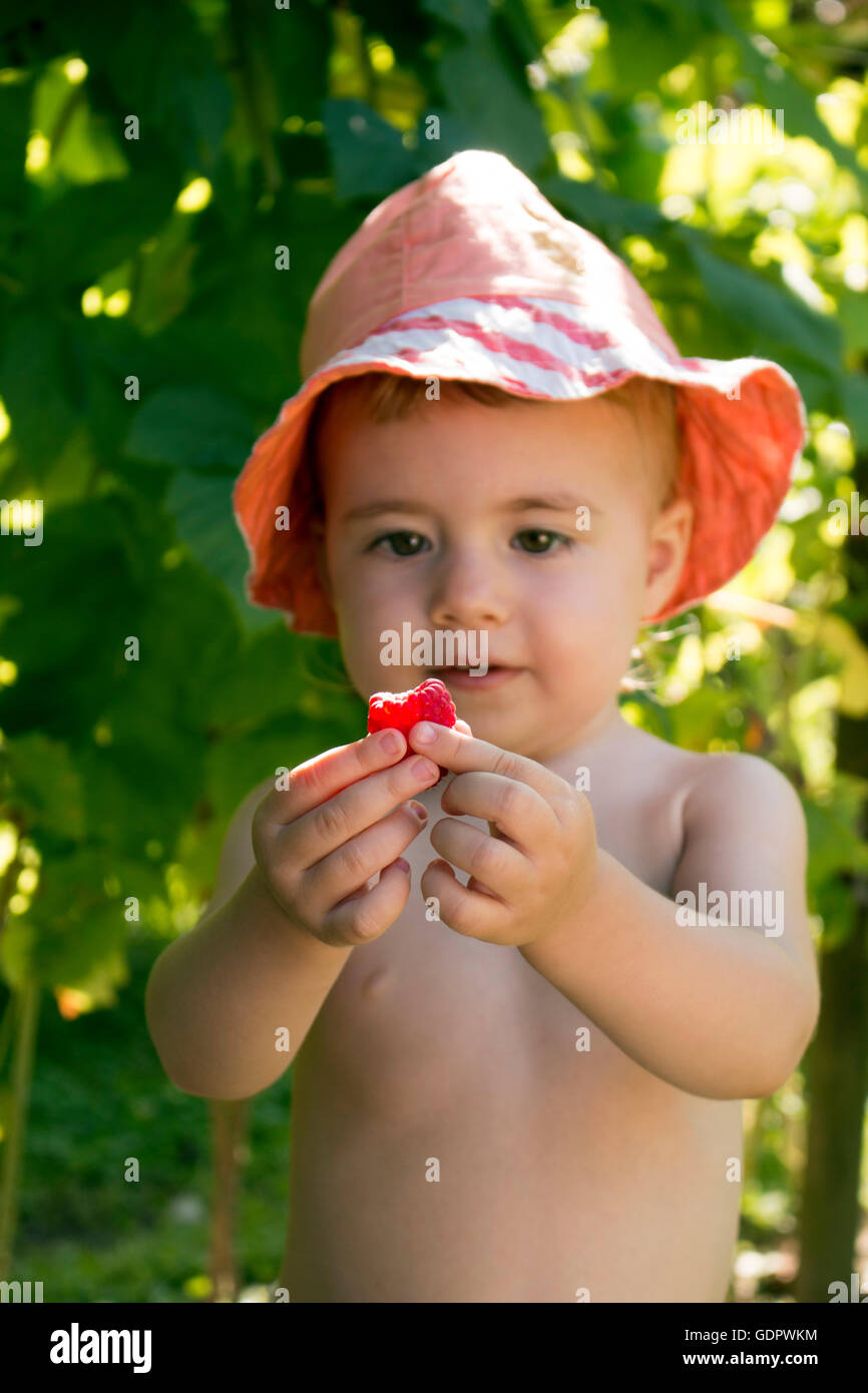 little baby in panama hat holding a raspberry Stock Photo - Alamy