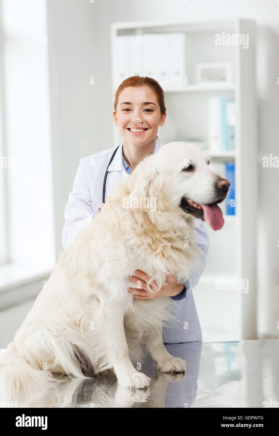 happy doctor with retriever dog at vet clinic Stock Photo - Alamy