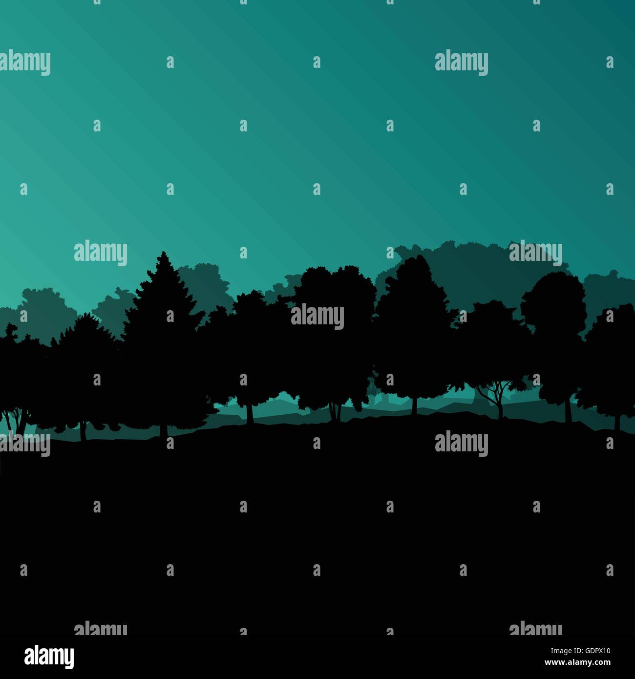 Forest trees silhouettes natural wild landscape detailed illustration ...
