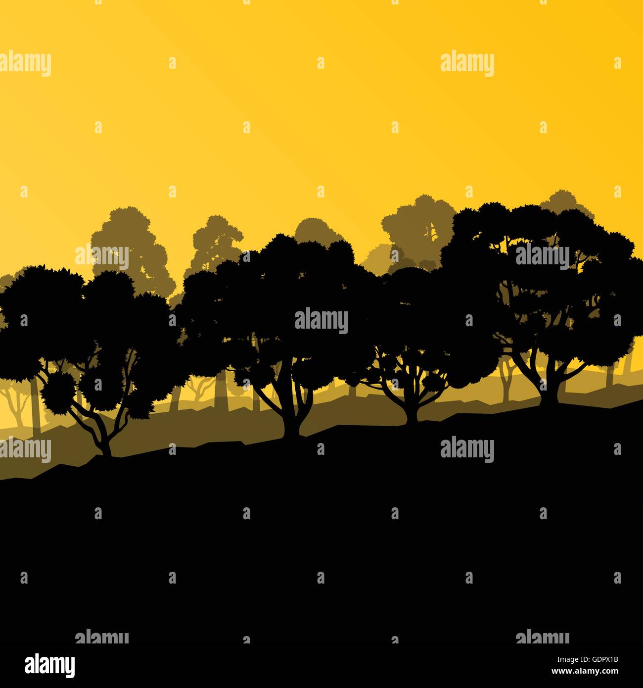 Forest trees silhouettes natural wild landscape detailed illustration ...