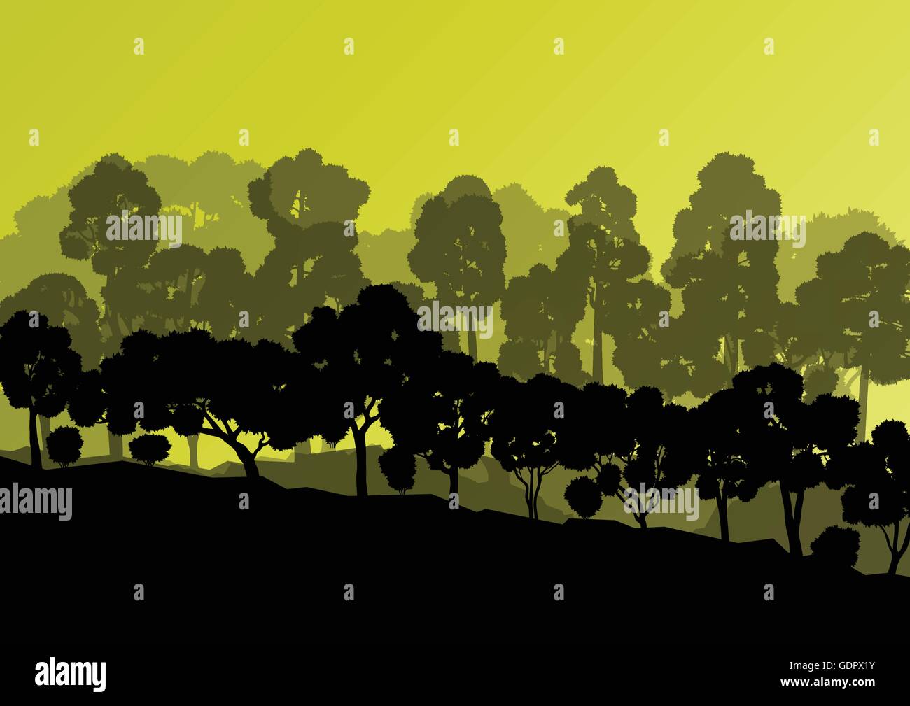 Forest trees silhouettes natural wild landscape detailed illustration ...