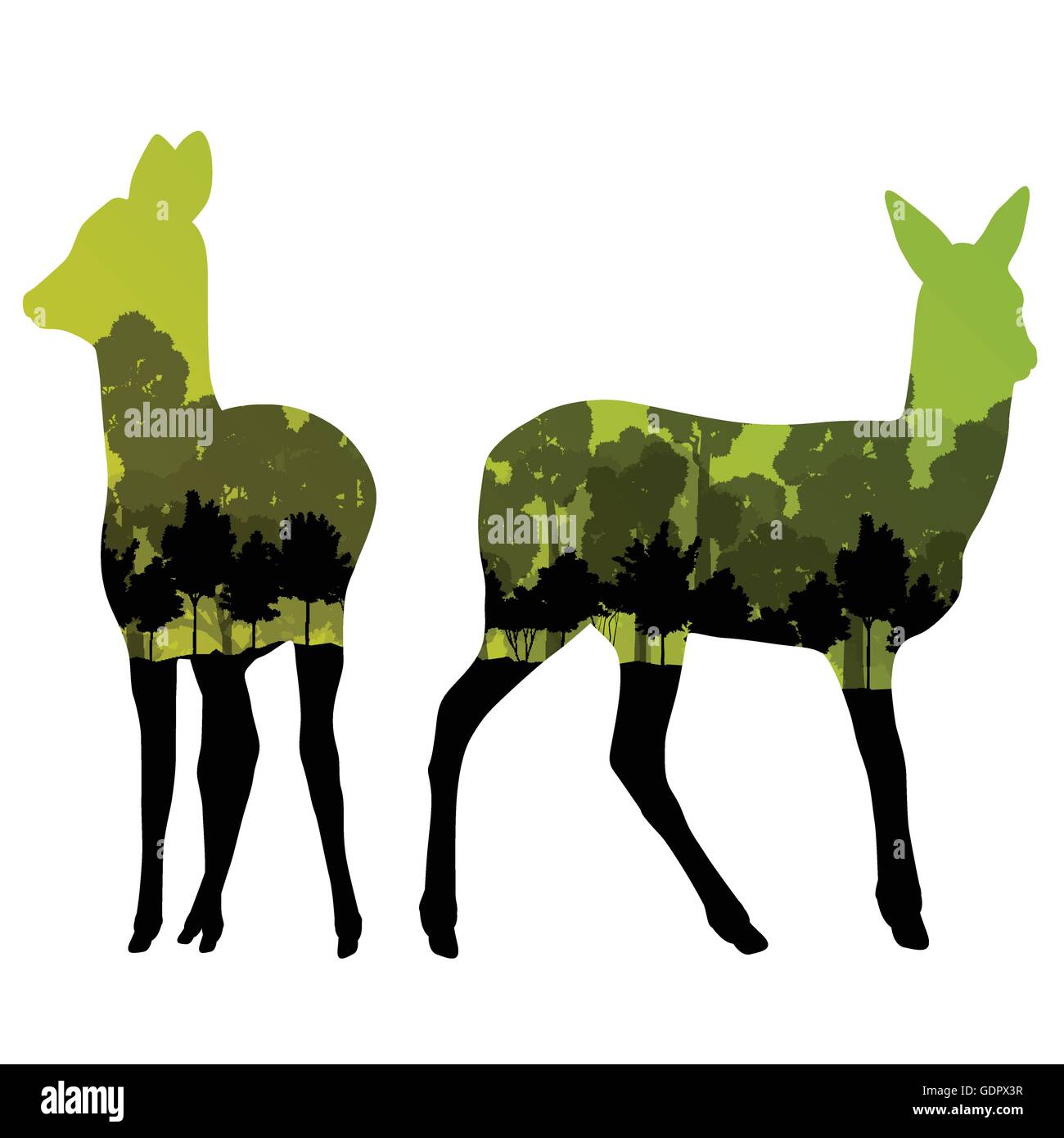 Doe venison deer animal silhouettes in wild nature forest landscape ...