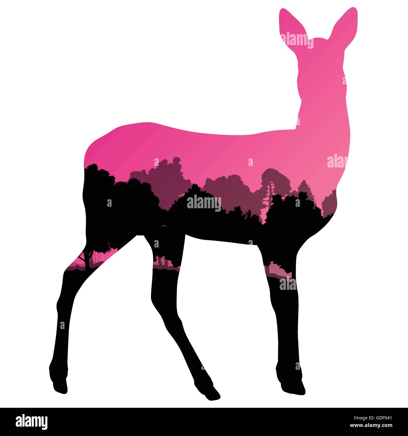 Doe venison deer animal silhouettes in wild nature forest landscape ...