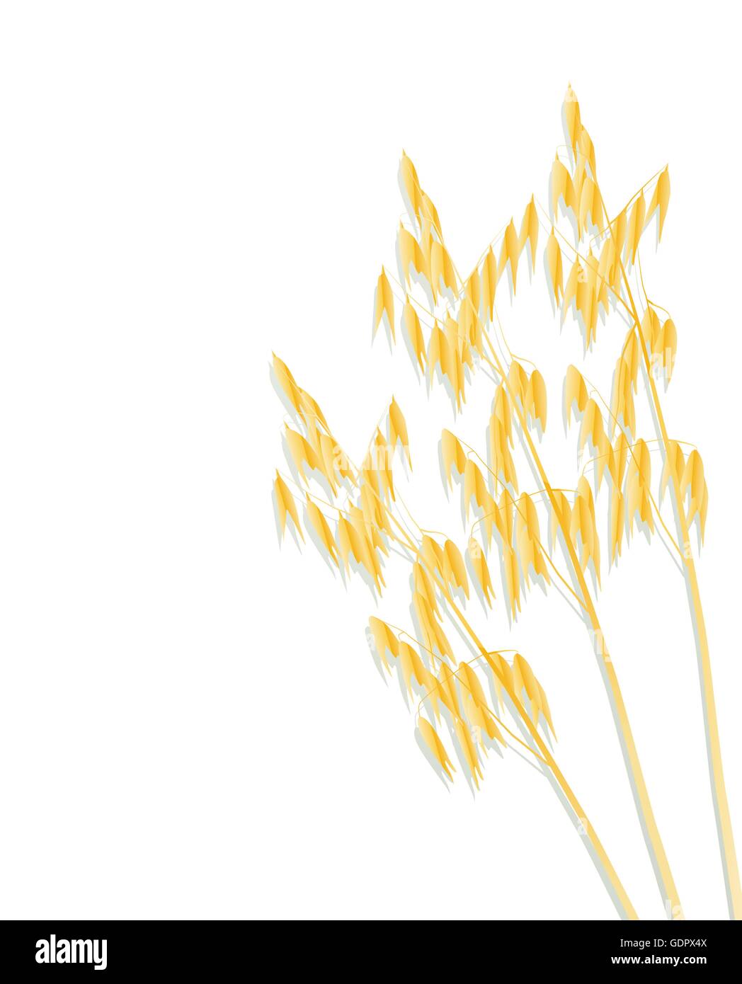 Oats background vector for poster Stock Vector Image & Art - Alamy