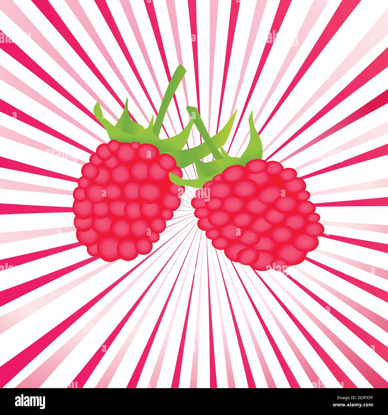 Raspberry vector background for poster Stock Vector Image & Art - Alamy