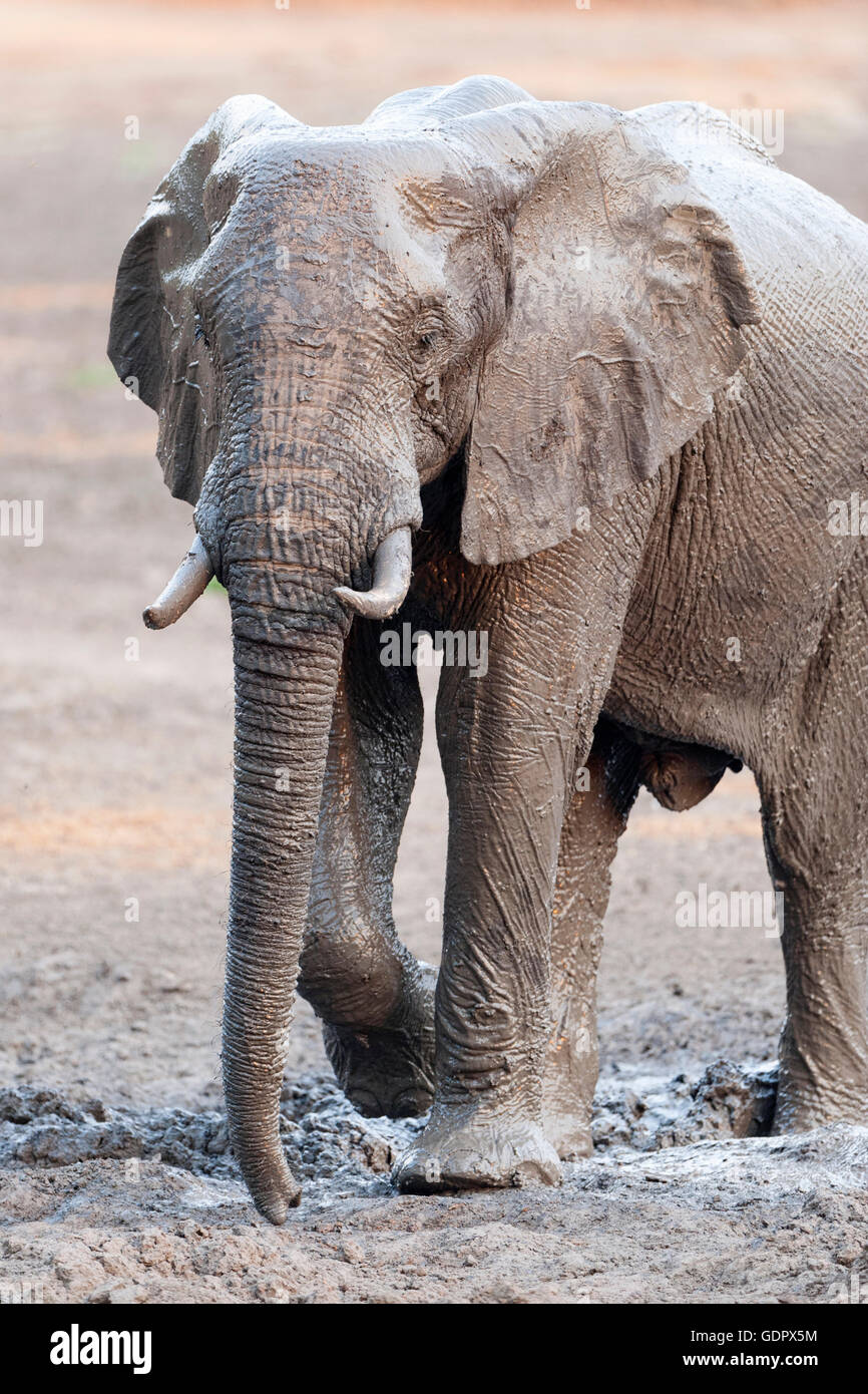 Coolth hi-res stock photography and images - Alamy