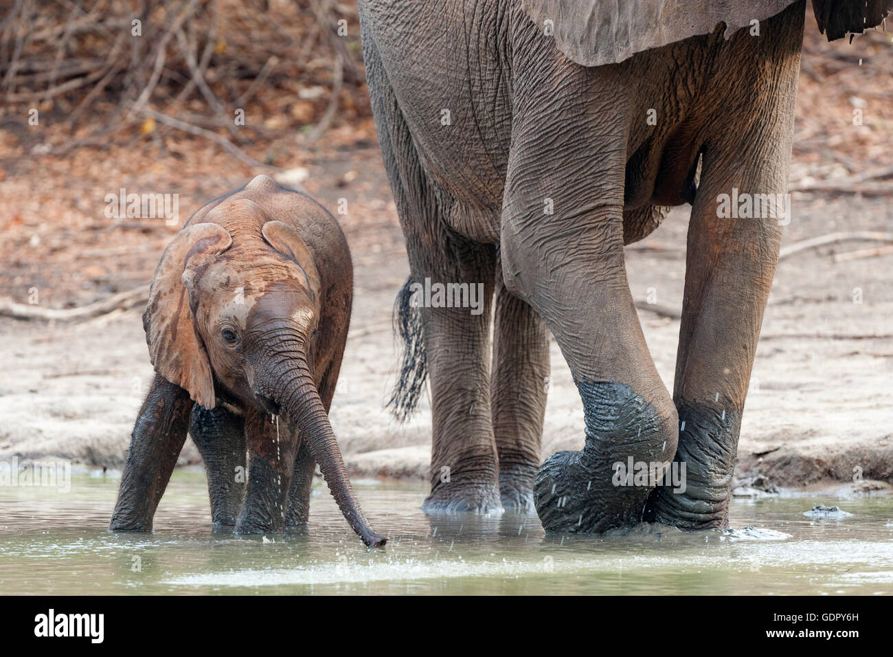 Wrinkly baby hi-res stock photography and images - Alamy