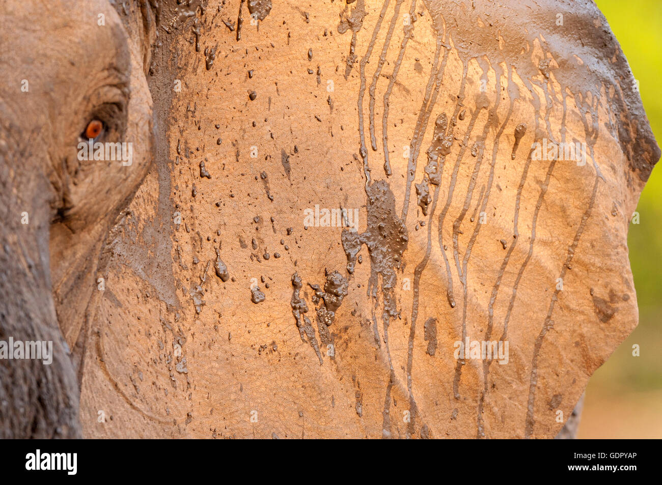 Mud streaks hi-res stock photography and images - Alamy