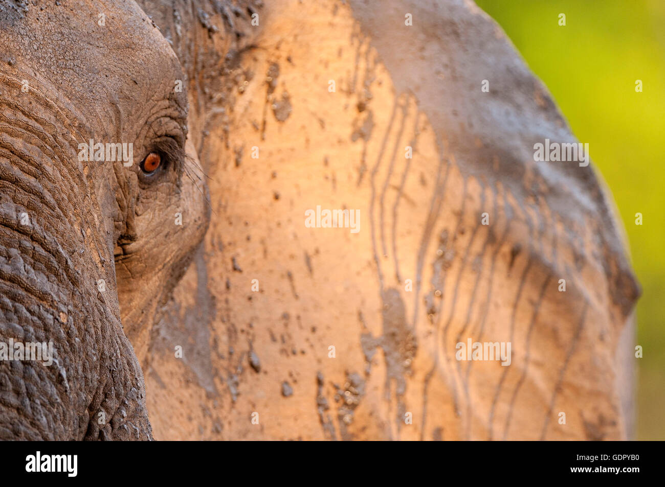 Mud streaks hi-res stock photography and images - Alamy