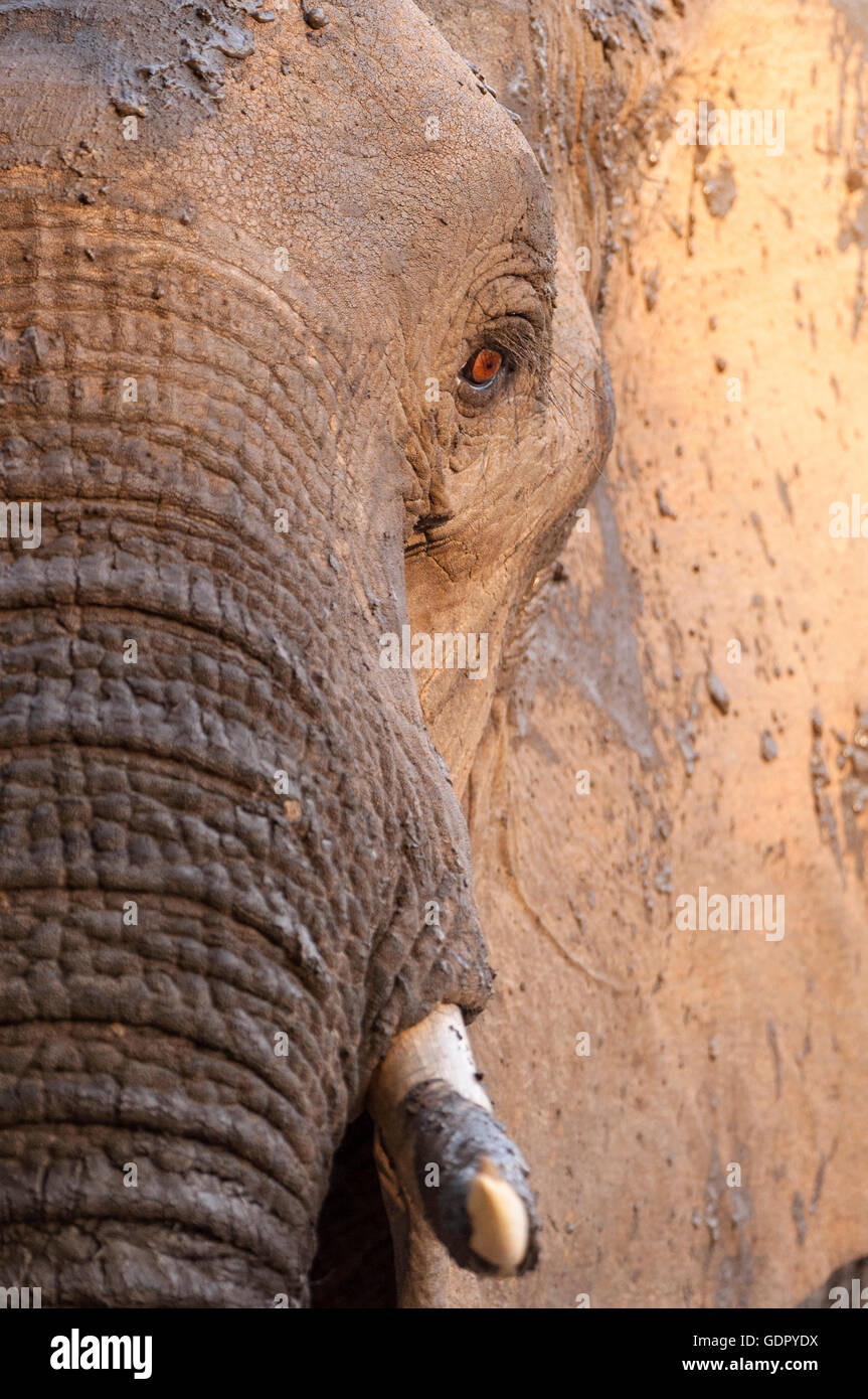 Mud streaks hi-res stock photography and images - Alamy