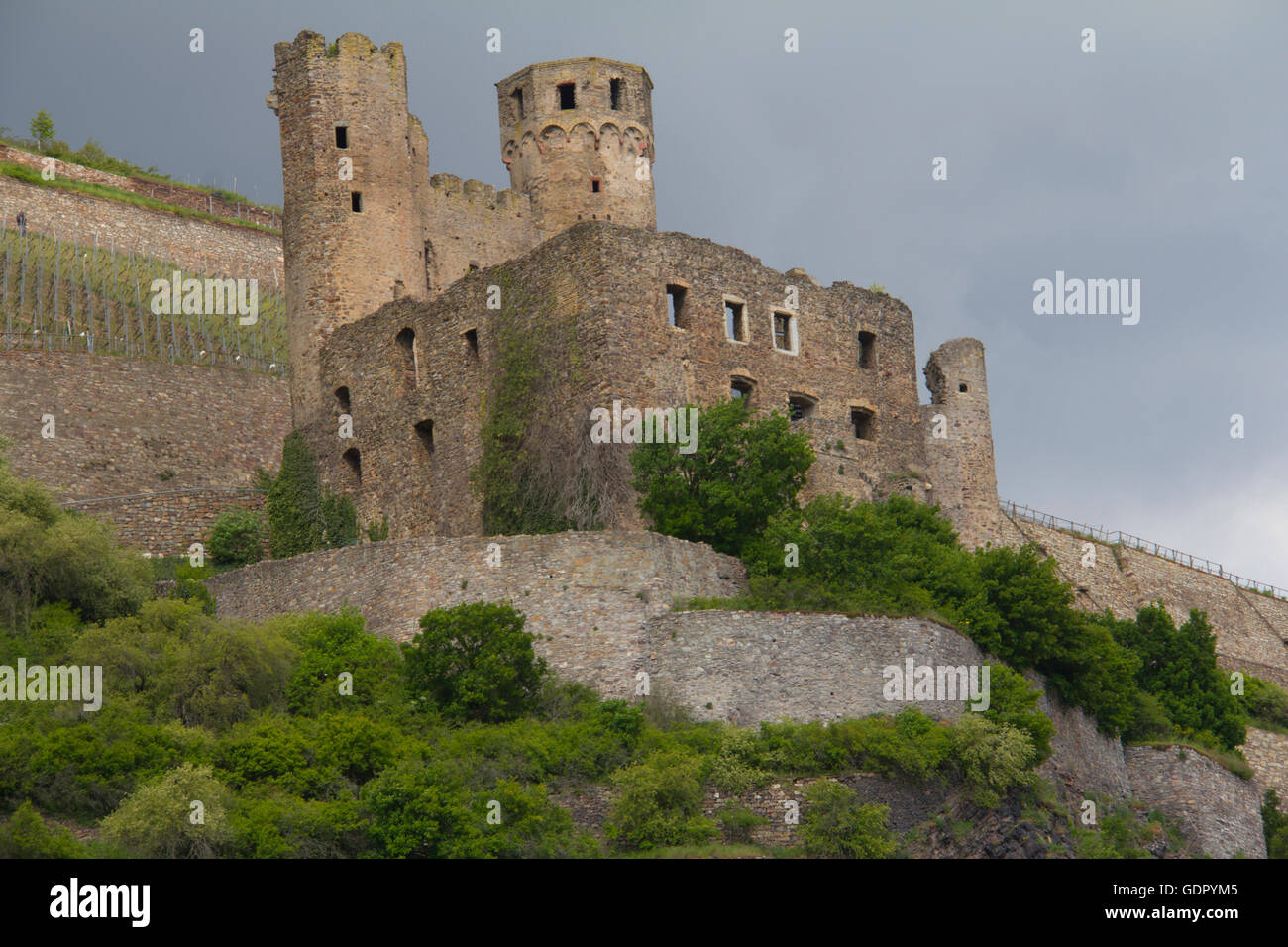 Ehrenfels Castle is a ruined castle above the Rhine Gorge near the town ...
