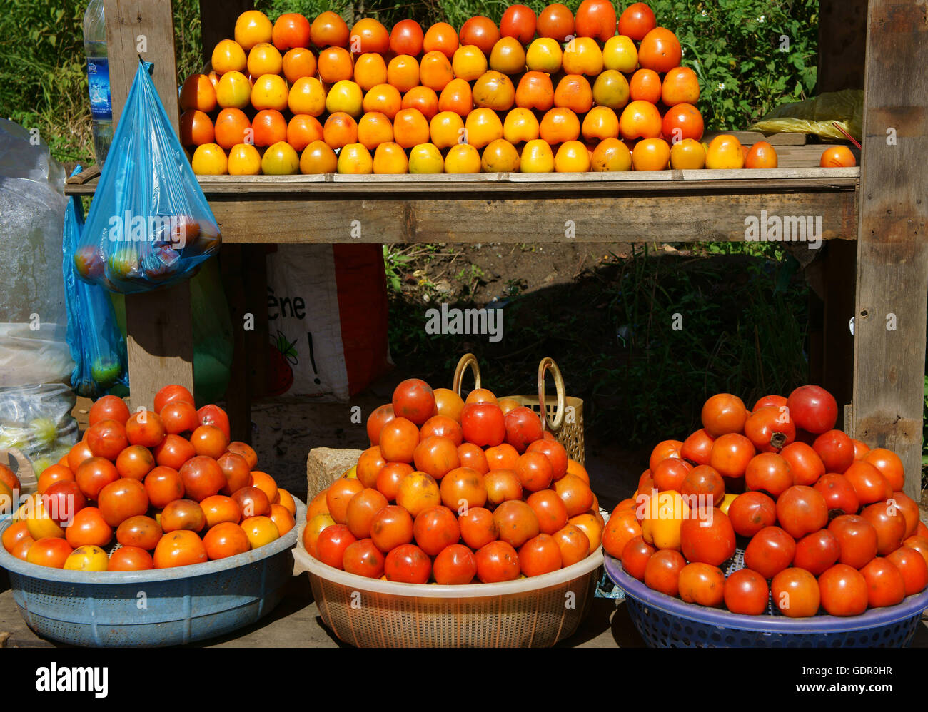 Typical fruits hi-res stock photography and images - Alamy