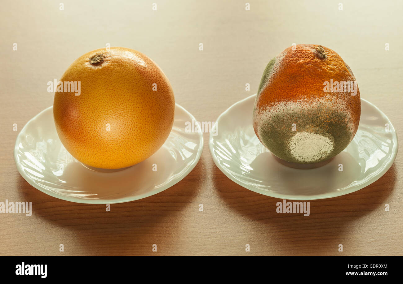 Ripe and moldy grapefriut on plate at wooden table. Difference between ...