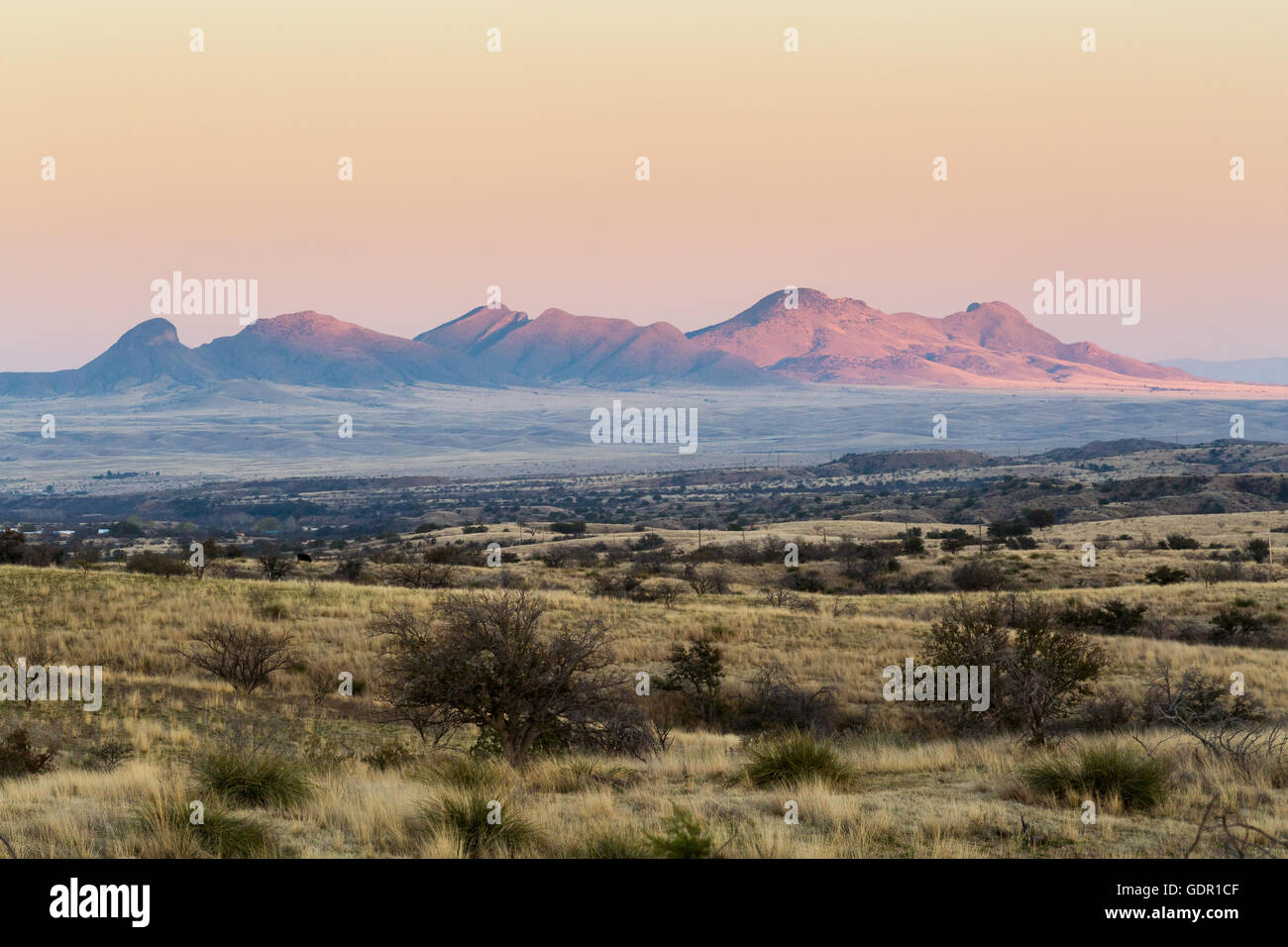 The distant Whetstone Mountains reflecting the last light of day ...