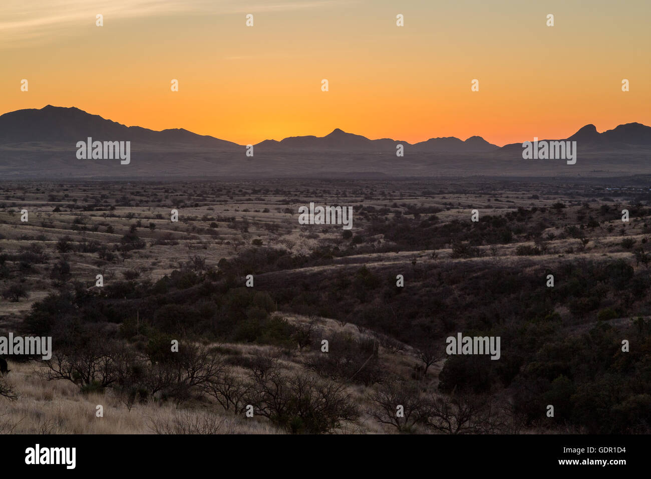 Dawn over the Whetstone Mountains in southern Arizona. Coronado ...
