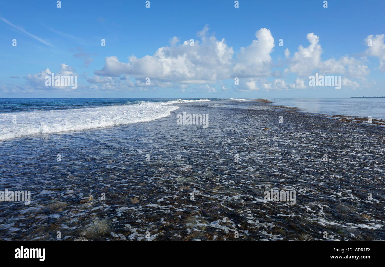 Sea crest hi-res stock photography and images - Alamy