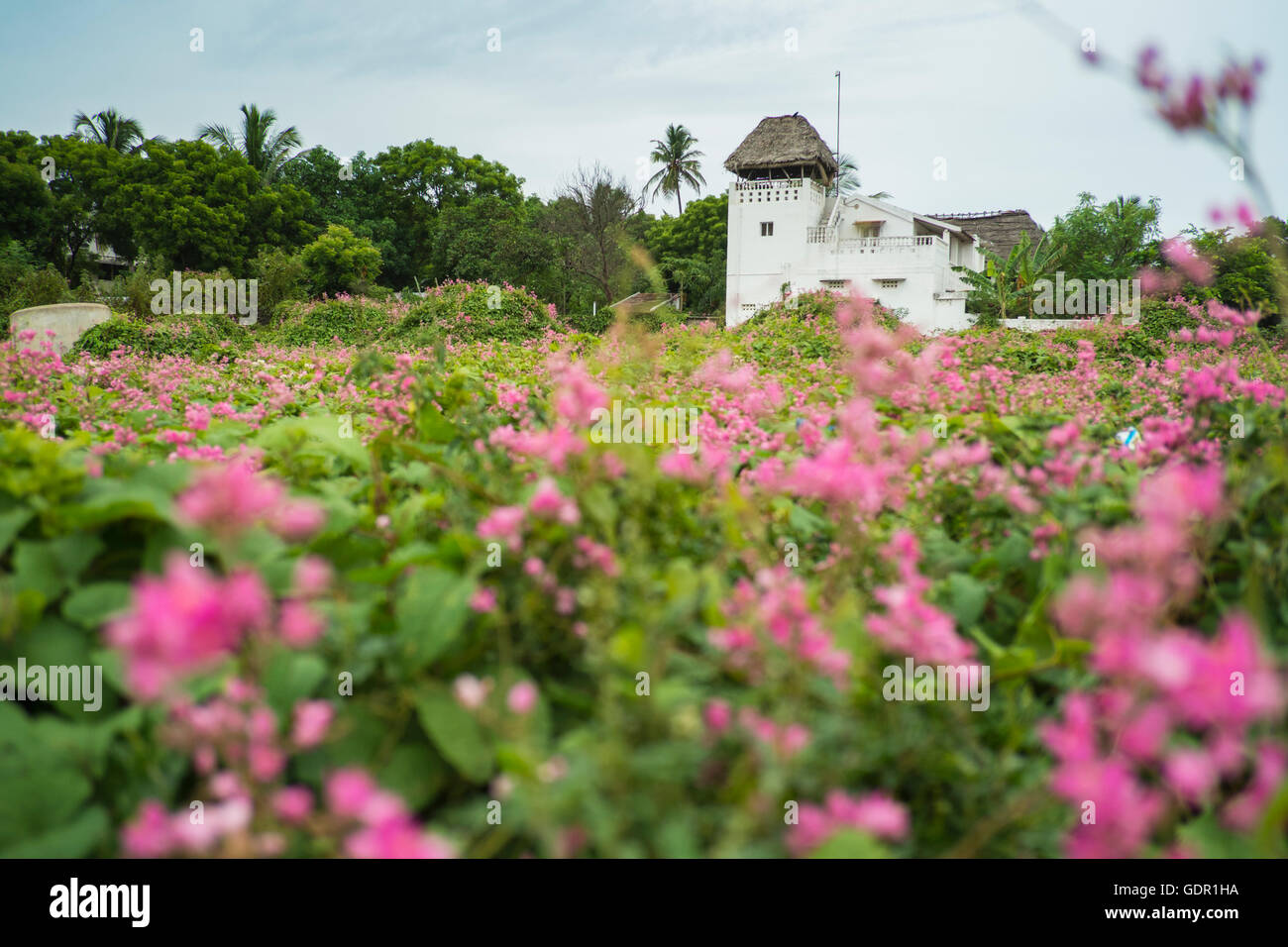 Tranquebar, also known as Tharangambadi, is a 17th Century Dutch ...