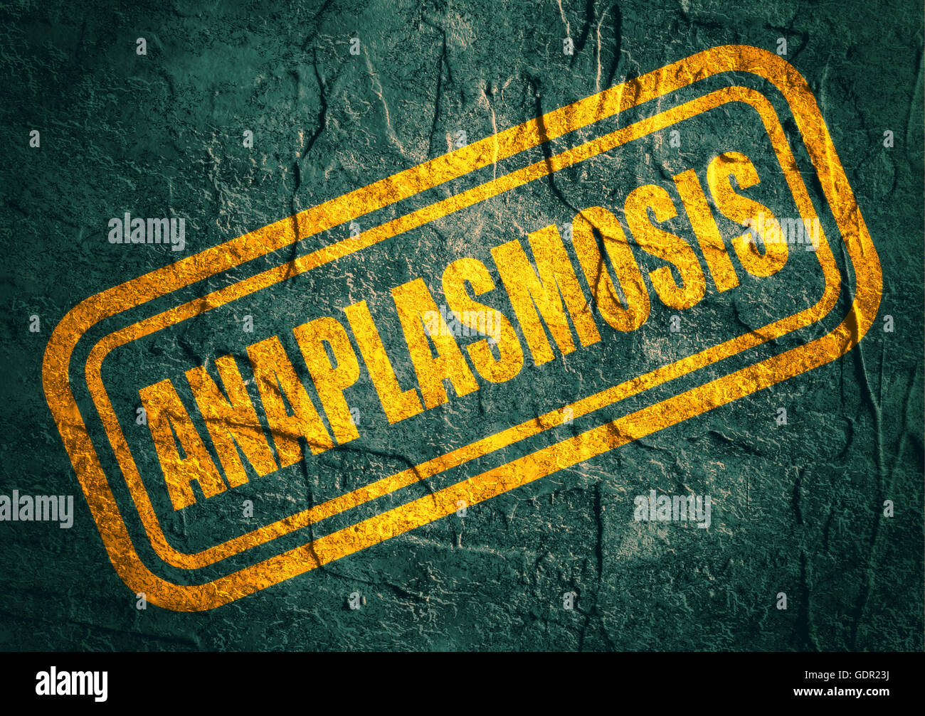 Anaplasmosis hi-res stock photography and images - Alamy