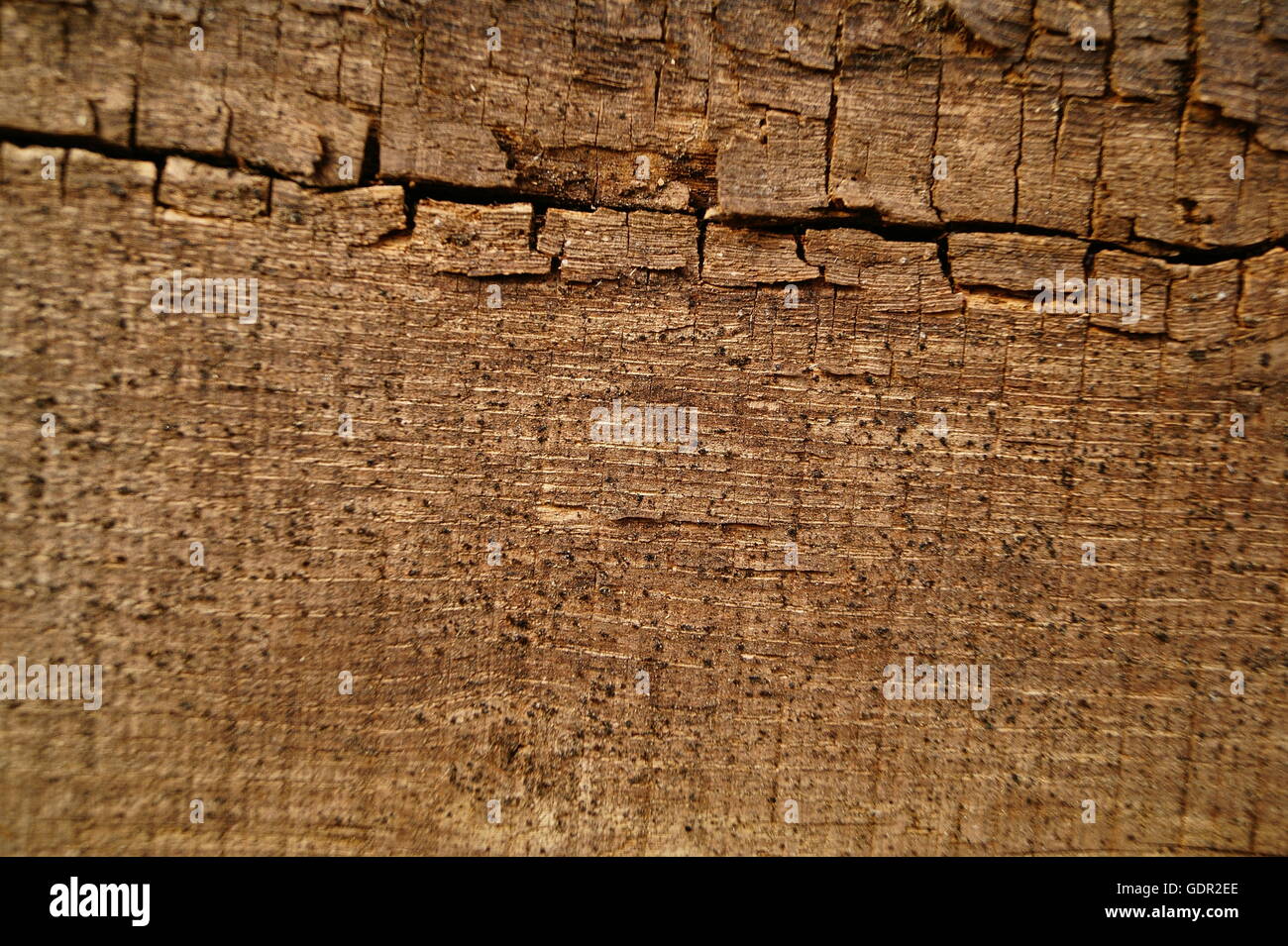 The old wood texture with deep natural patterns and deep cracks ...