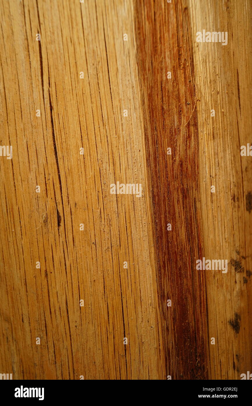 Close up of real wood texture Stock Photo - Alamy