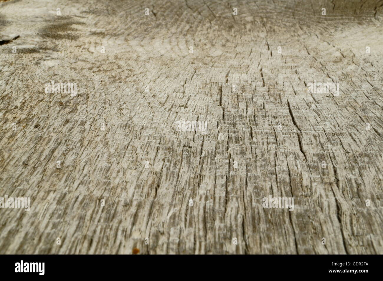 The old wood texture with deep natural patterns and deep cracks ...