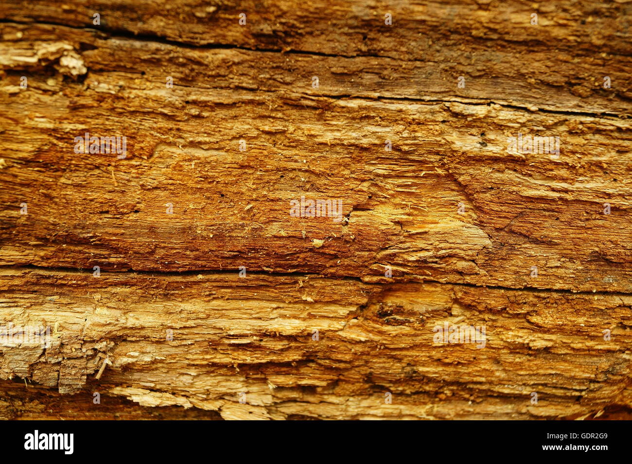 The old wood texture with deep natural patterns and deep cracks ...