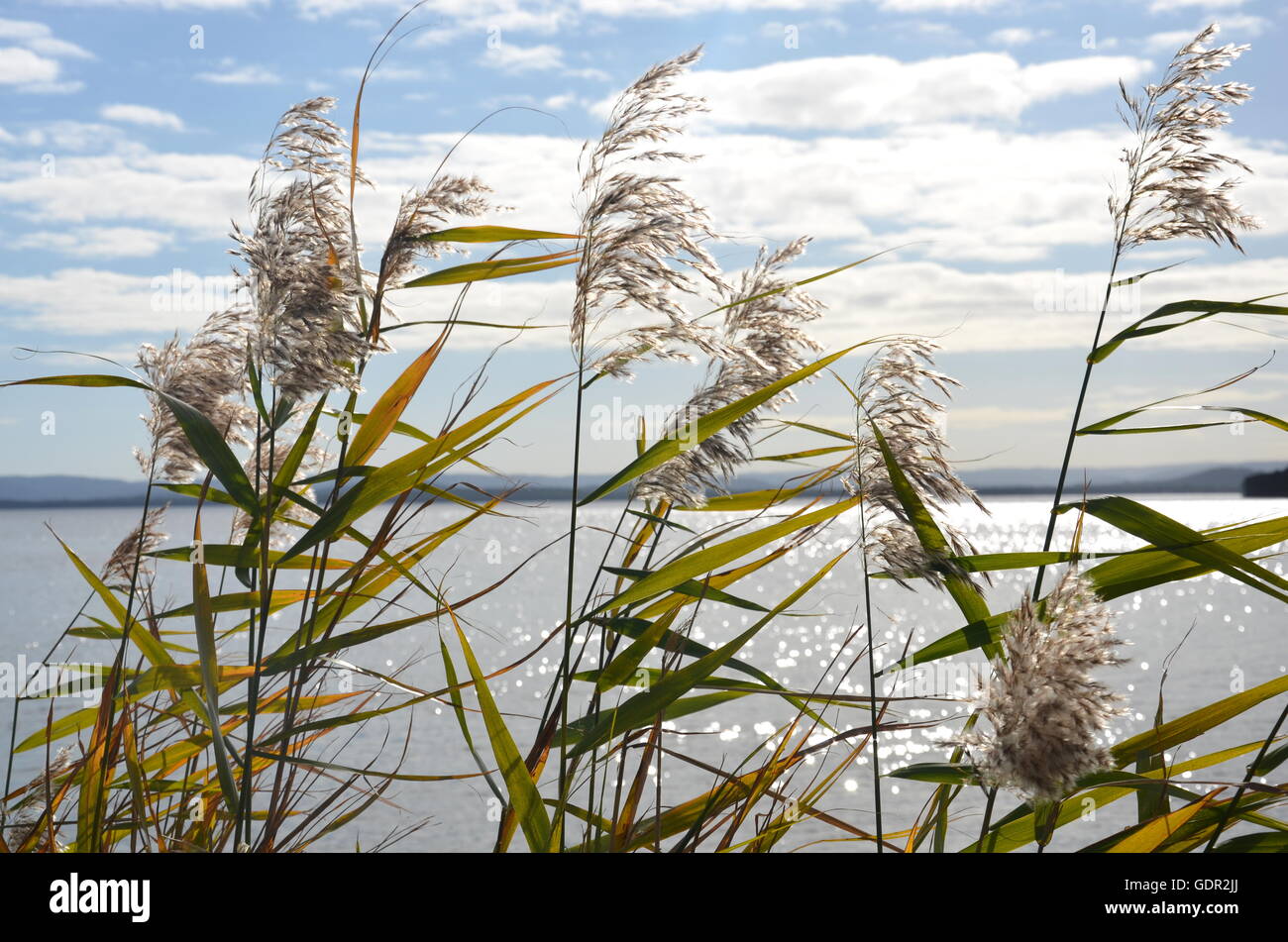 Tuggerah lake hi-res stock photography and images - Alamy