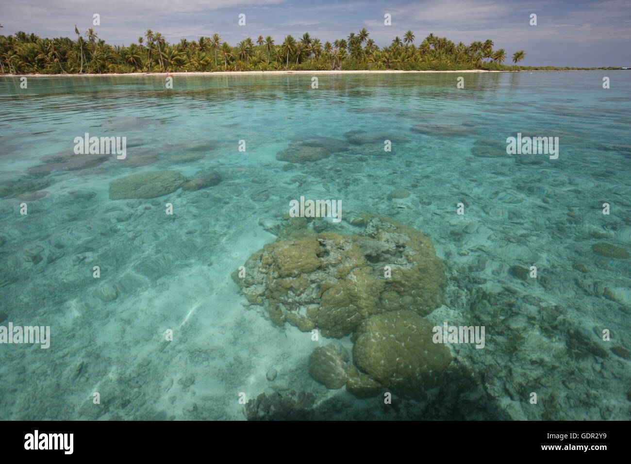 French polynesia tahiti waterfalls hi-res stock photography and images ...