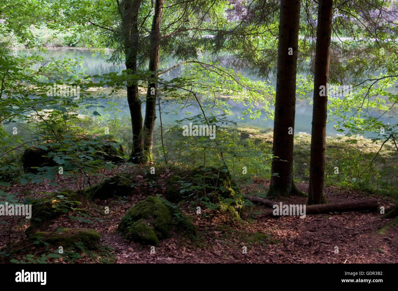 geography / travel, Germany, Bavaria, nature park "Franconian ...
