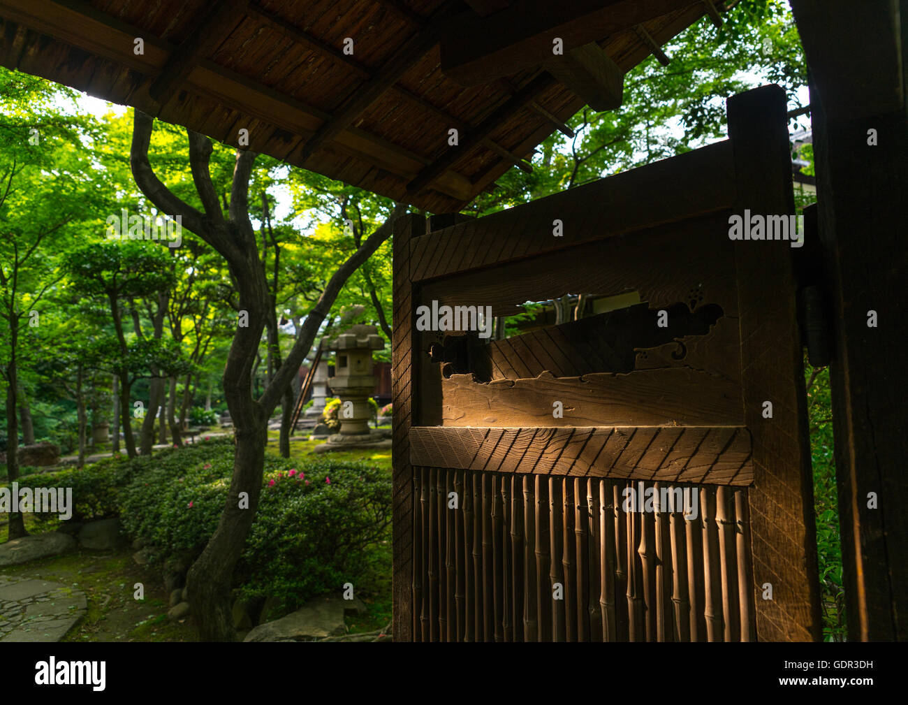 Garden of kyu asakura traditional japanese house from taisho era, Kanto ...