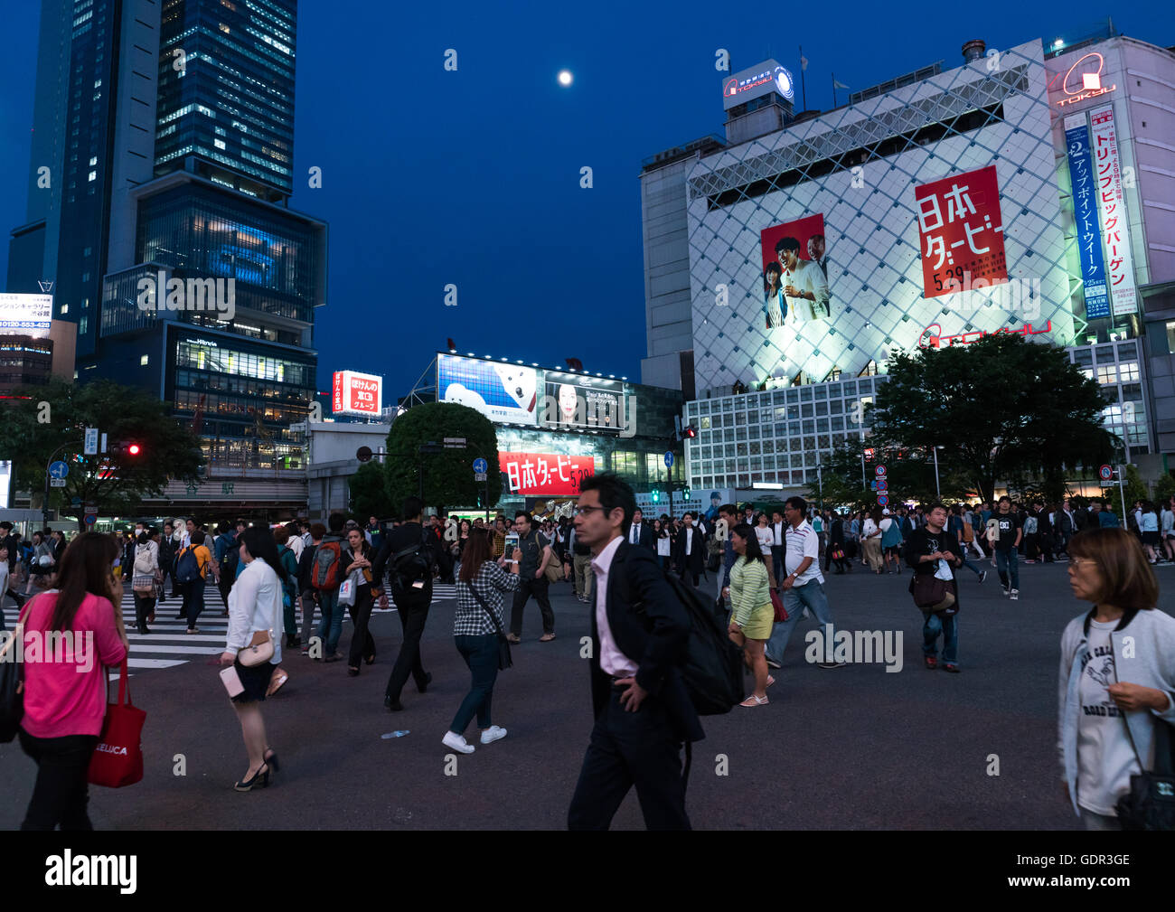 Shibuya crossing at night, Kanto region, Tokyo, Japan Stock Photo - Alamy