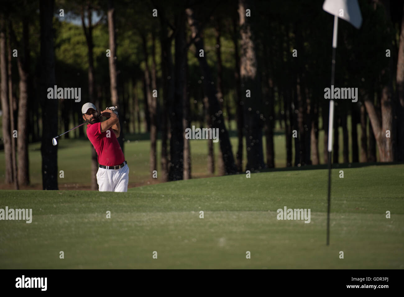 golf player shot ball from sand bunker at course Stock Photo - Alamy
