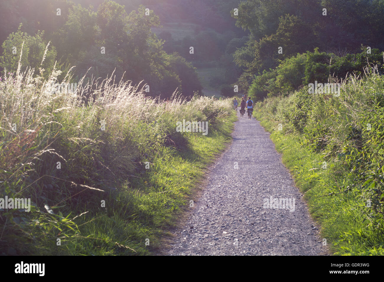 Cyclists and pedestrians along canal tow path. People walk along the ...