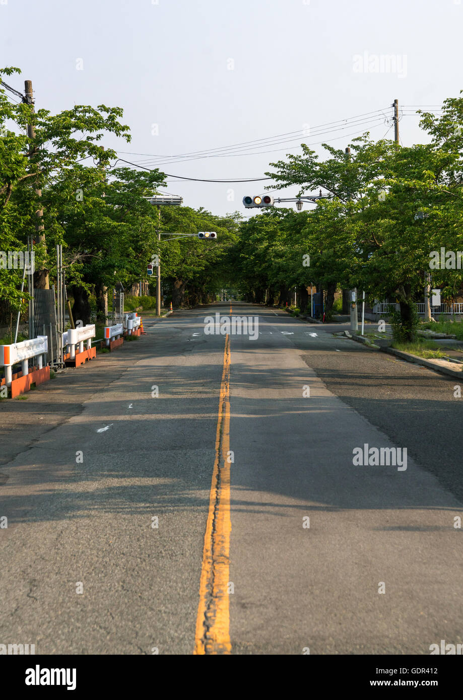Roadblock in the difficult-to-return zoneafter the daiichi nuclear ...