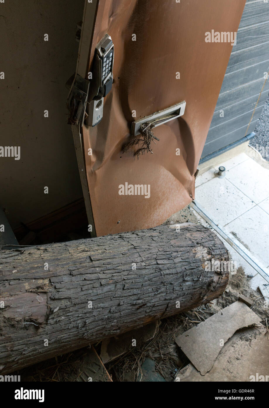 2011 earthquake japan tree hi-res stock photography and images - Alamy