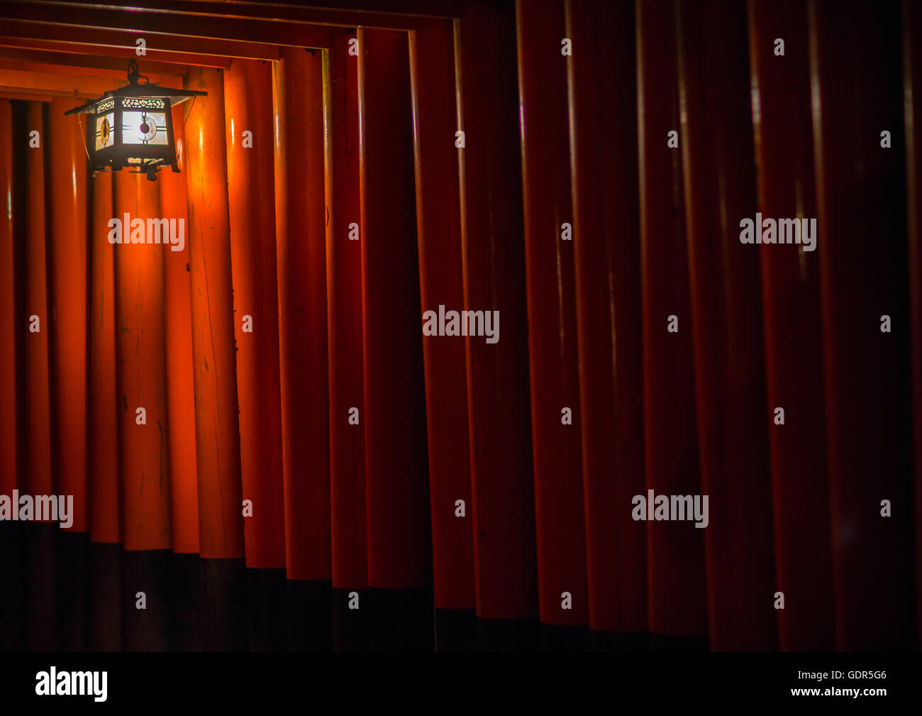 Lanterns hanging between torii gates in fushimi inari, Kansai region ...