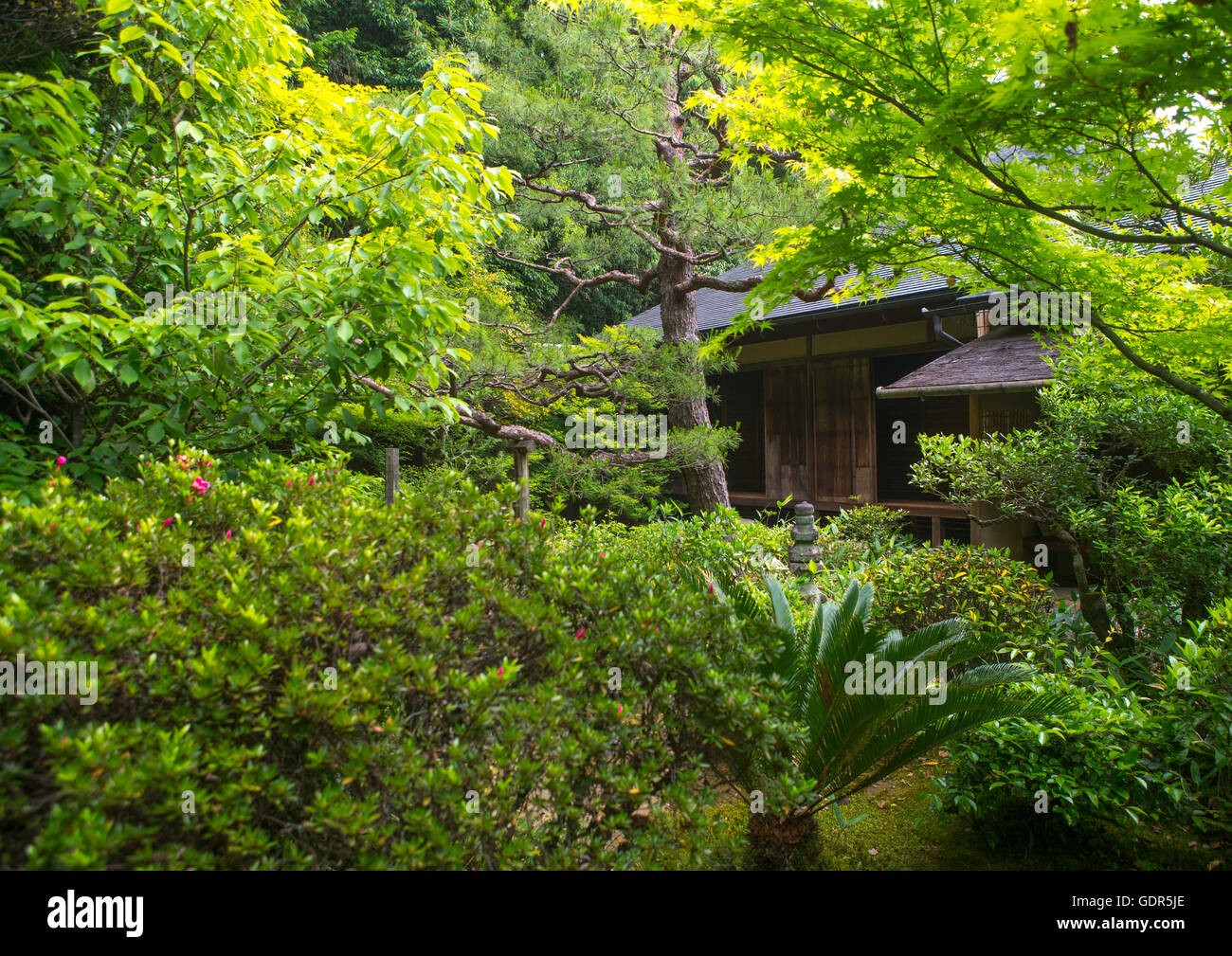 Garden in koto-in zen buddhist temple in daitoku-ji, Kansai region ...