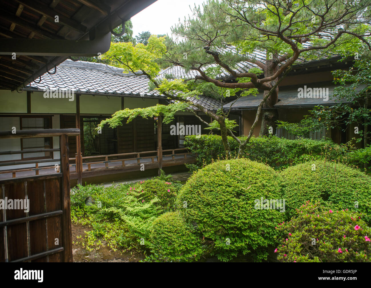 Garden in koto-in zen buddhist temple in daitoku-ji, Kansai region ...