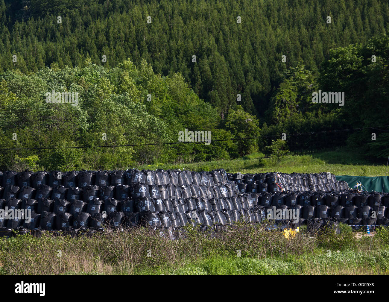 Bags of radioactive waste during radioactive decontamination process ...