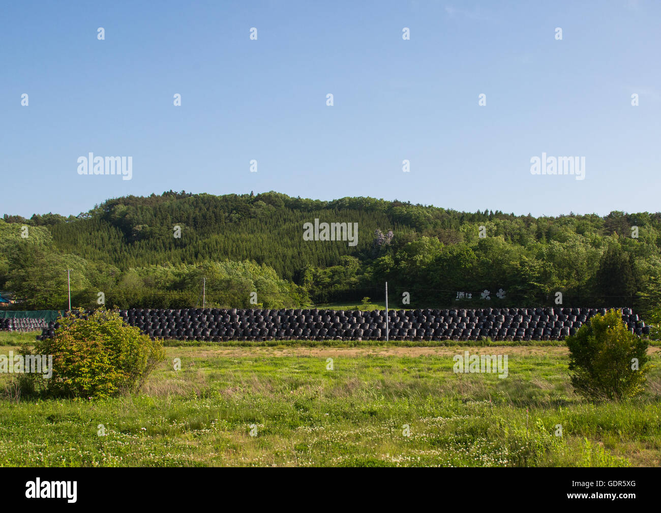Bags of radioactive waste during radioactive decontamination process ...