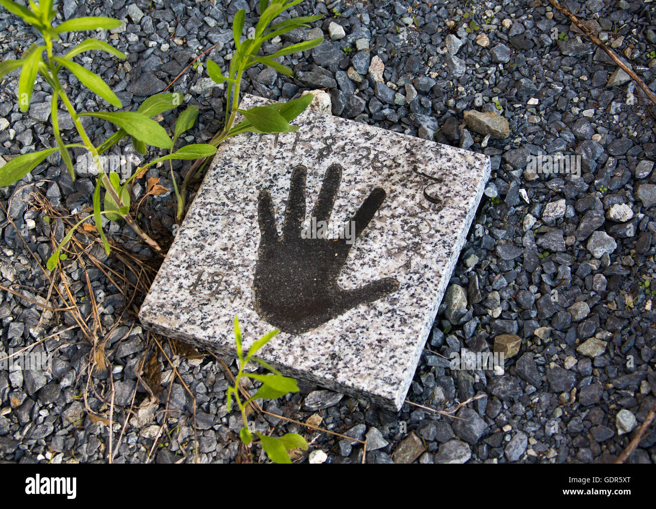 Handprint in the garden of house in the highly contaminated zone after ...
