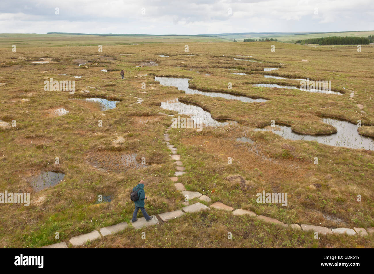 Walker on the Dubh Lochan Trail at Forsinard RSPB Reserve - Sutherland ...