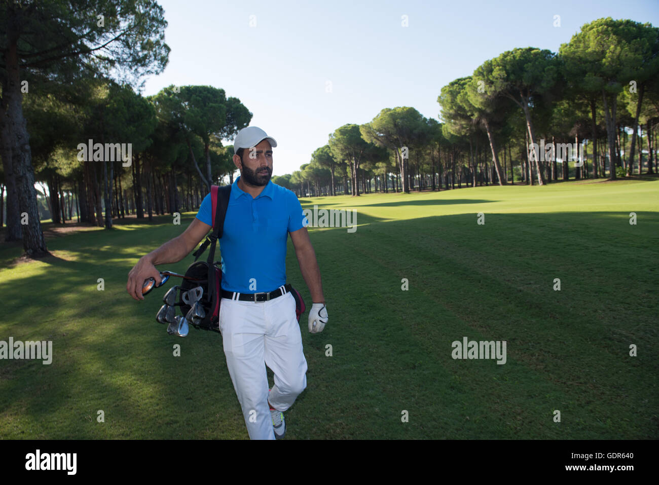 handsome middle eastern golf player carrying and bag and walking at ...