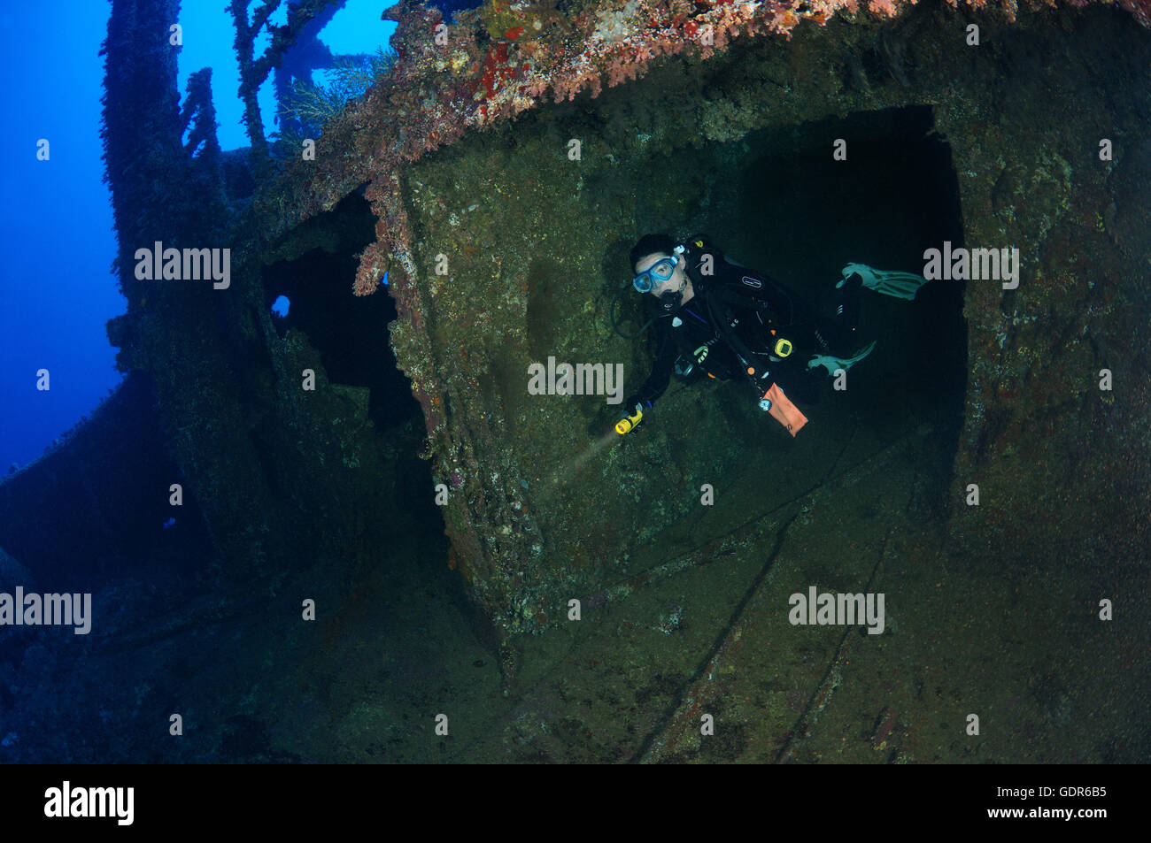 Female scuba diver inside the wreck of the Numidia, Big Brother reef ...