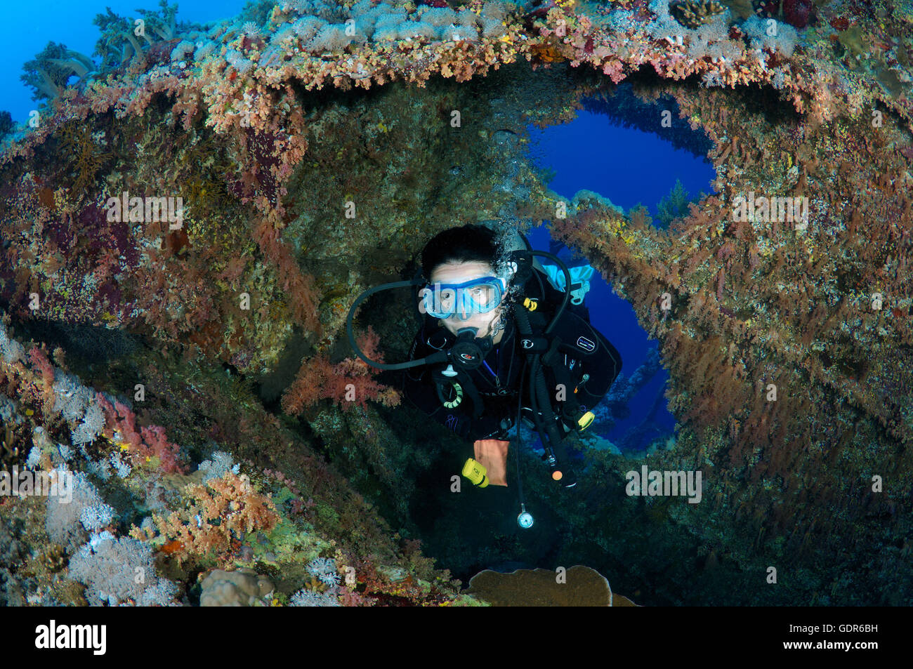 Female scuba diver inside the wreck of the Numidia, Big Brother reef ...