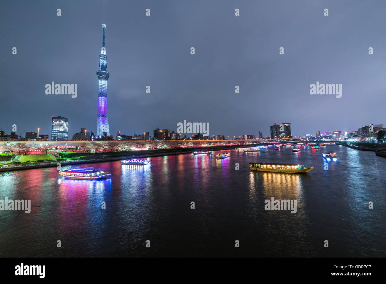 Cherry blossom,around Asakusa, Sumida River,Tokyo,Japan Stock Photo - Alamy